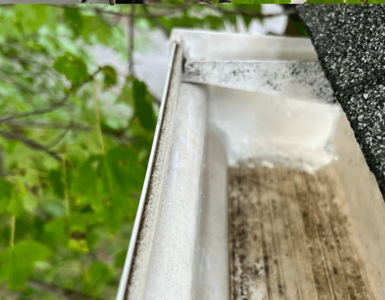 Master Gutter Cleaning: Easy & Safe Methods